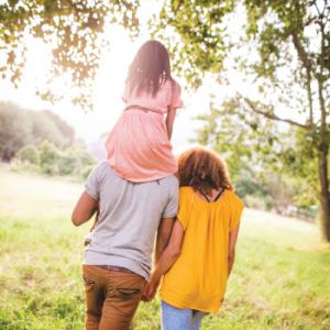 The Pathfinder Network