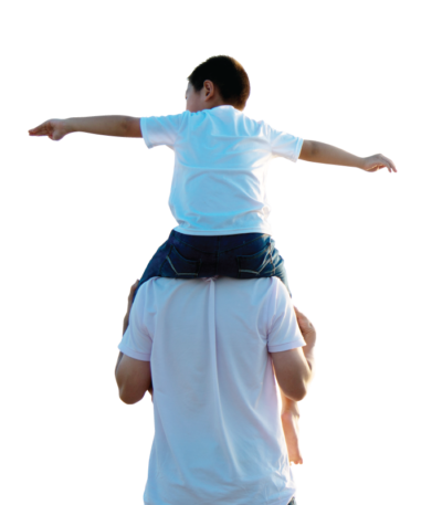 The Pathfinder Network