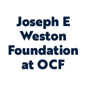 The Pathfinder Network