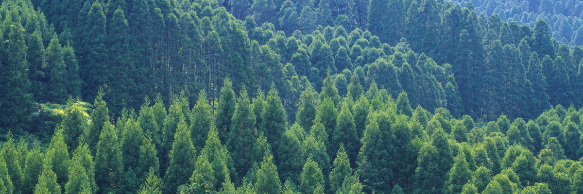 The Pathfinder Network • 30th Anniversary Celebration