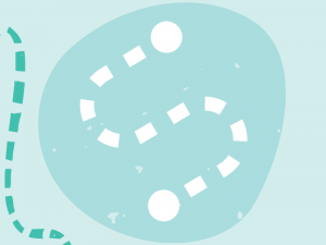 The Pathfinder Network